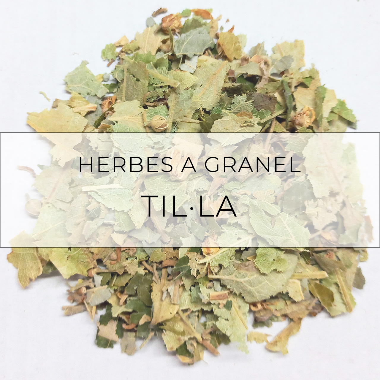 Til·la - Herbes.cat